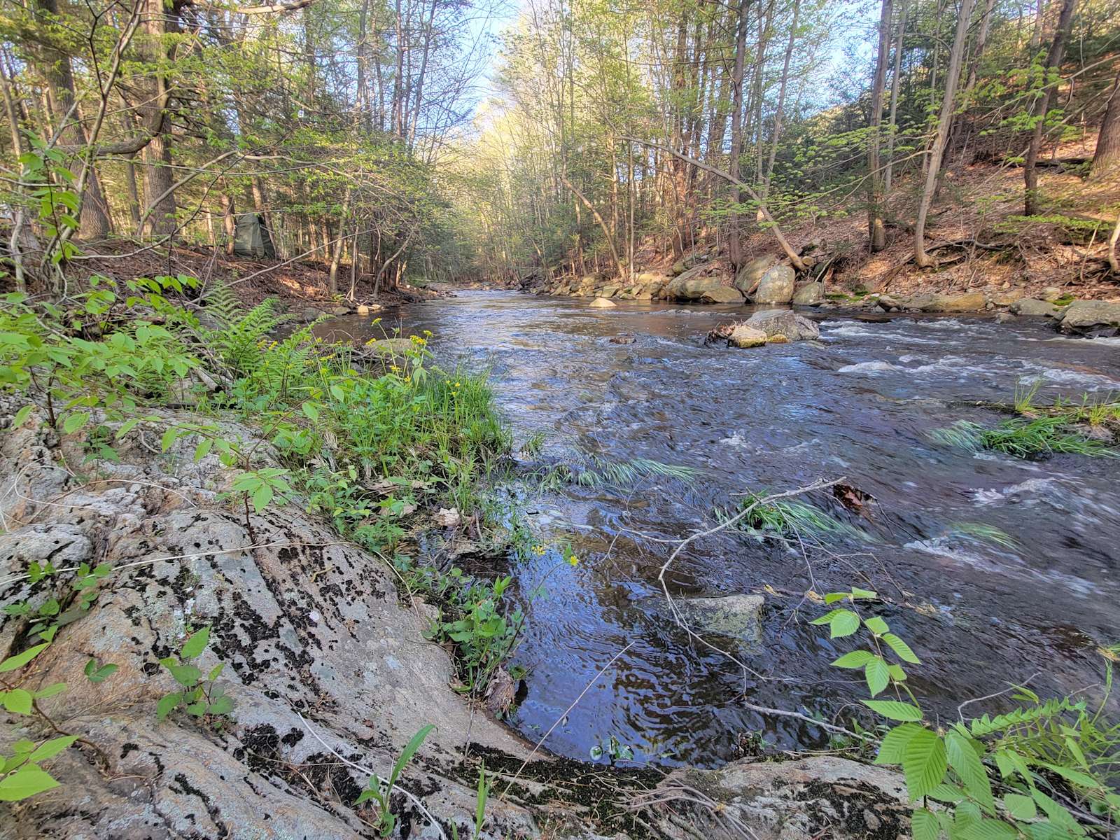 Running Brook - Hipcamp in Stafford Springs, Connecticut