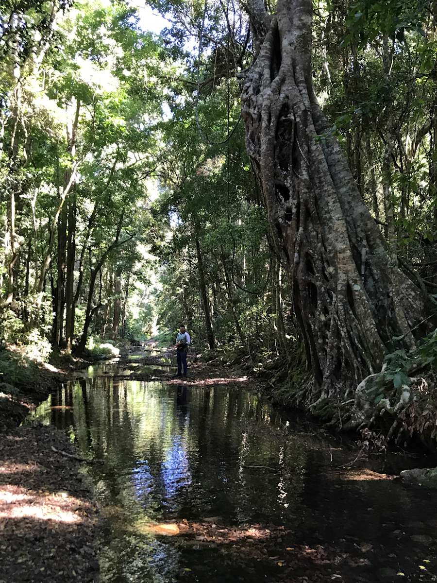 Tiz Tam Fam Nature Reserve - Hipcamp in Mount Byron, Queensland