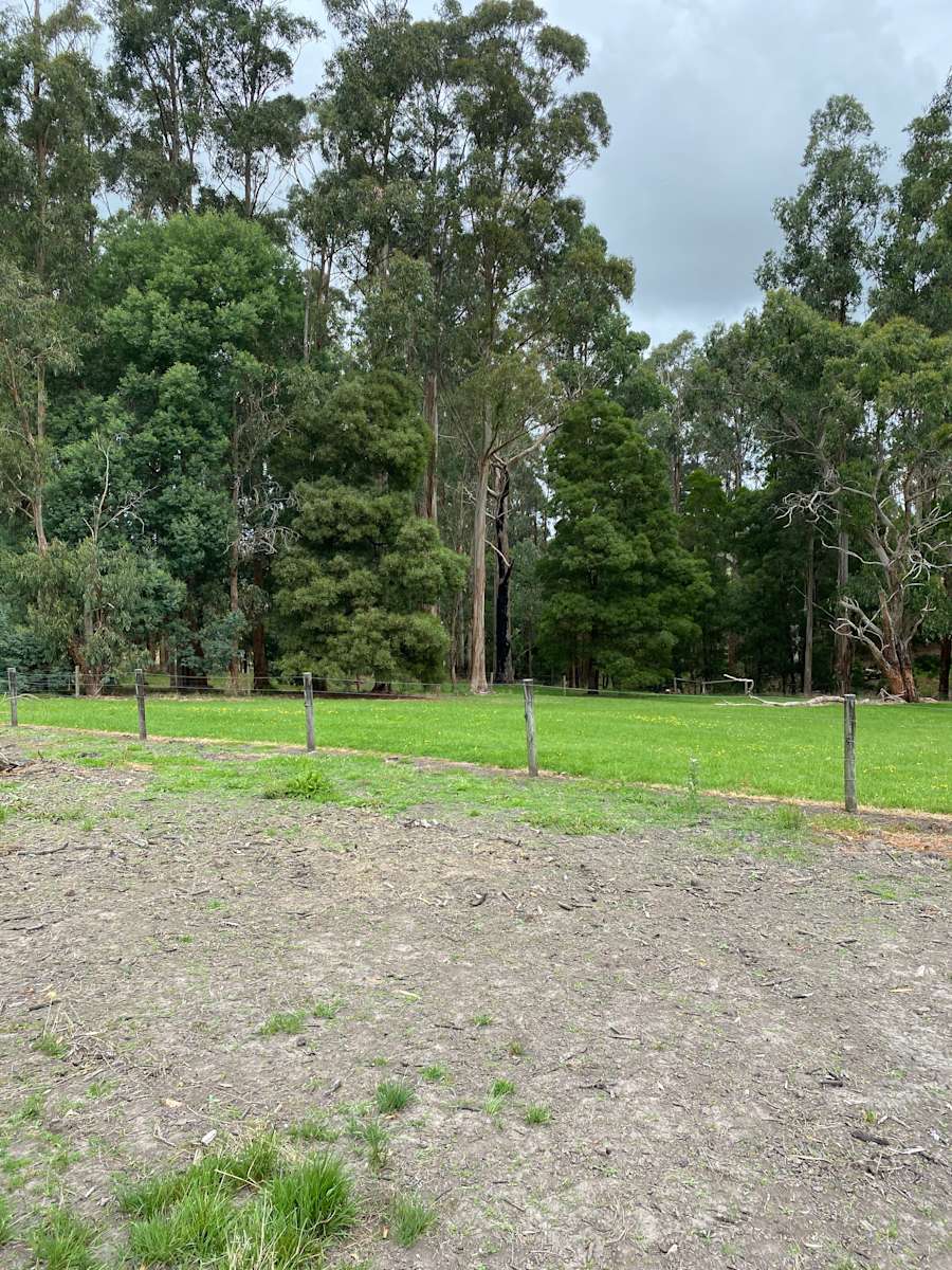 Jasper and Jericho's Place - Hipcamp in Timboon, Victoria