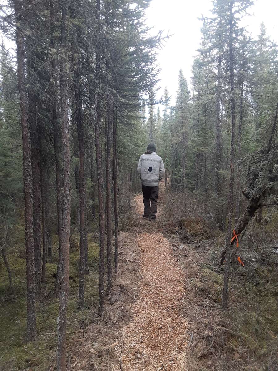 Holly L.’s Land - Hipcamp in Tomahawk, Alberta