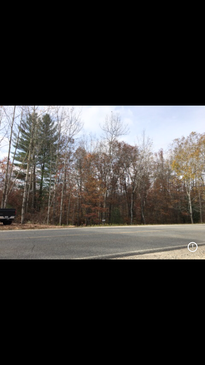 The wild - Hipcamp in Farwell, Michigan