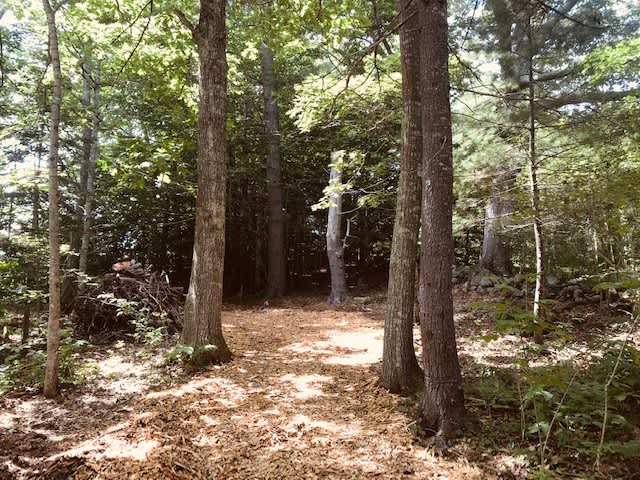 Penelope J.’s Land - Hipcamp in Waldoboro, Maine