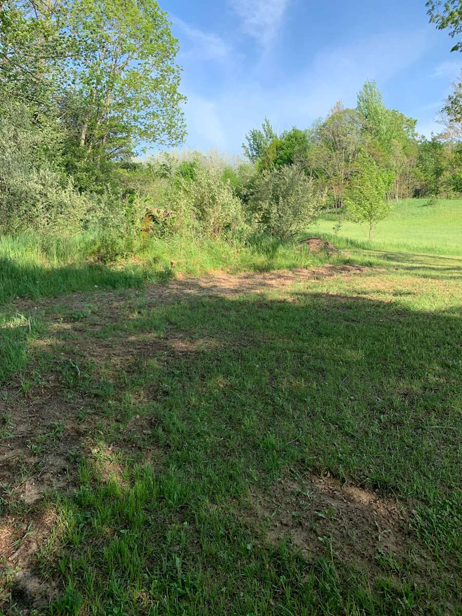 The Goat Bluff - Hipcamp in Big Rapids, Michigan