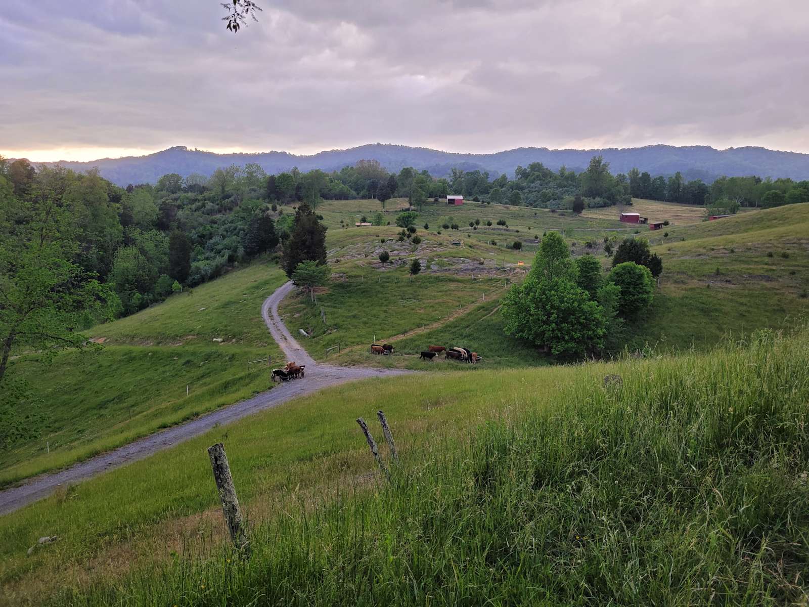 Kennedy Historic Appalachian Farm - Hipcamp in Cleveland, Virginia