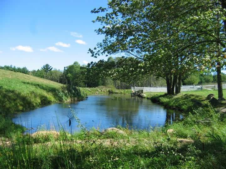 Sweetwood Heritage Farm - Hipcamp in Blockhouse, Nova Scotia