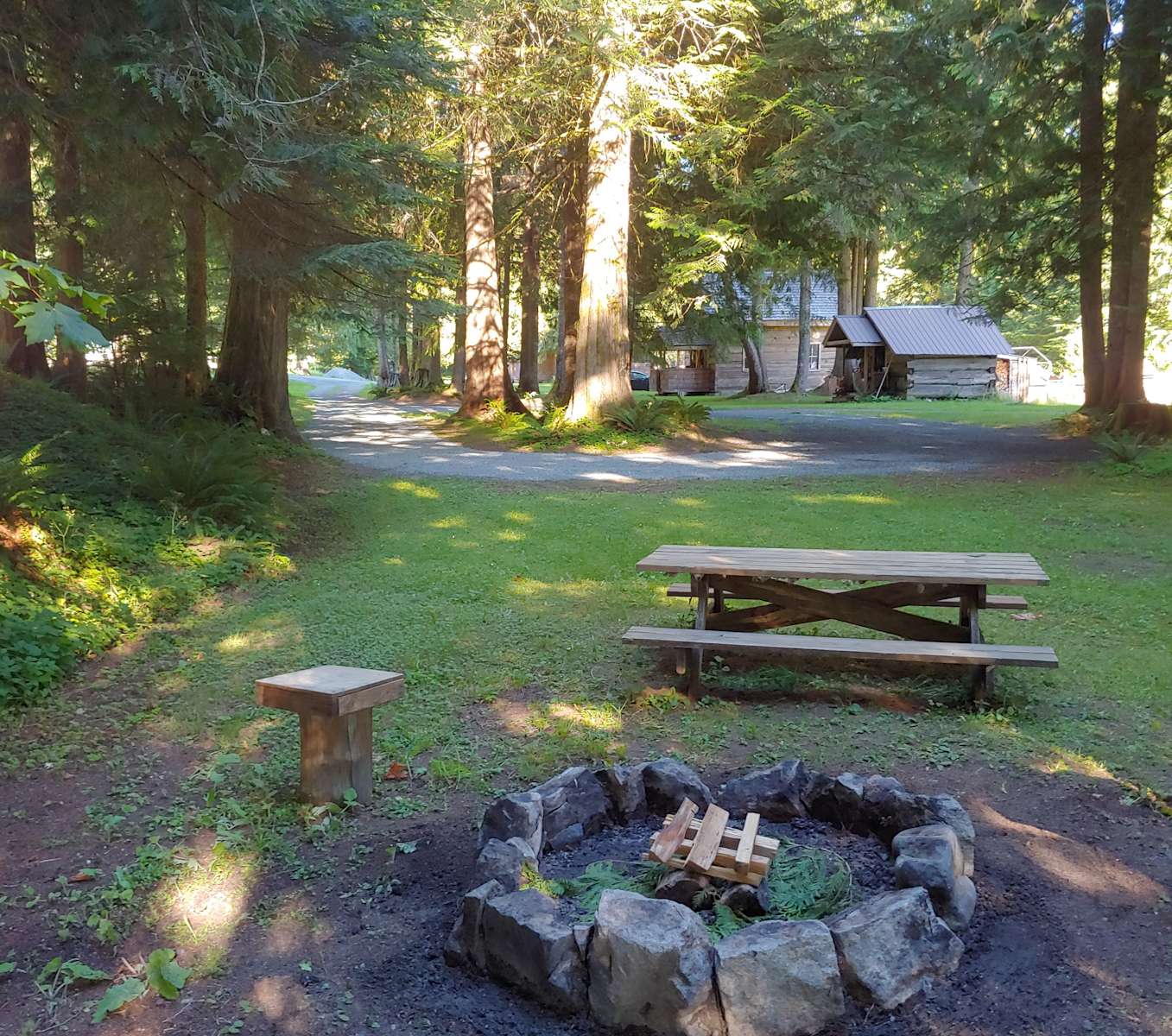 Wilderness Path - Hipcamp in Ashford, Washington