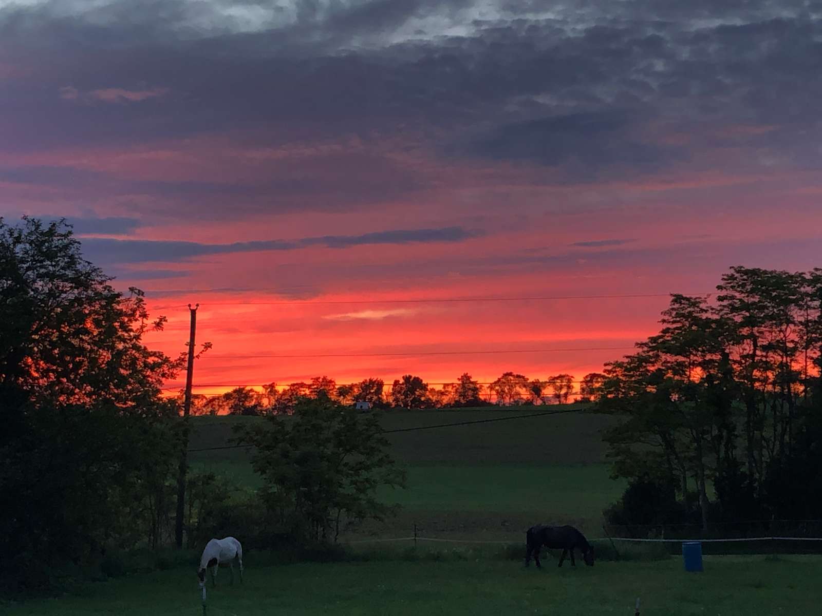 Small field with tree line - Hipcamp in Nescopeck, Pennsylvania