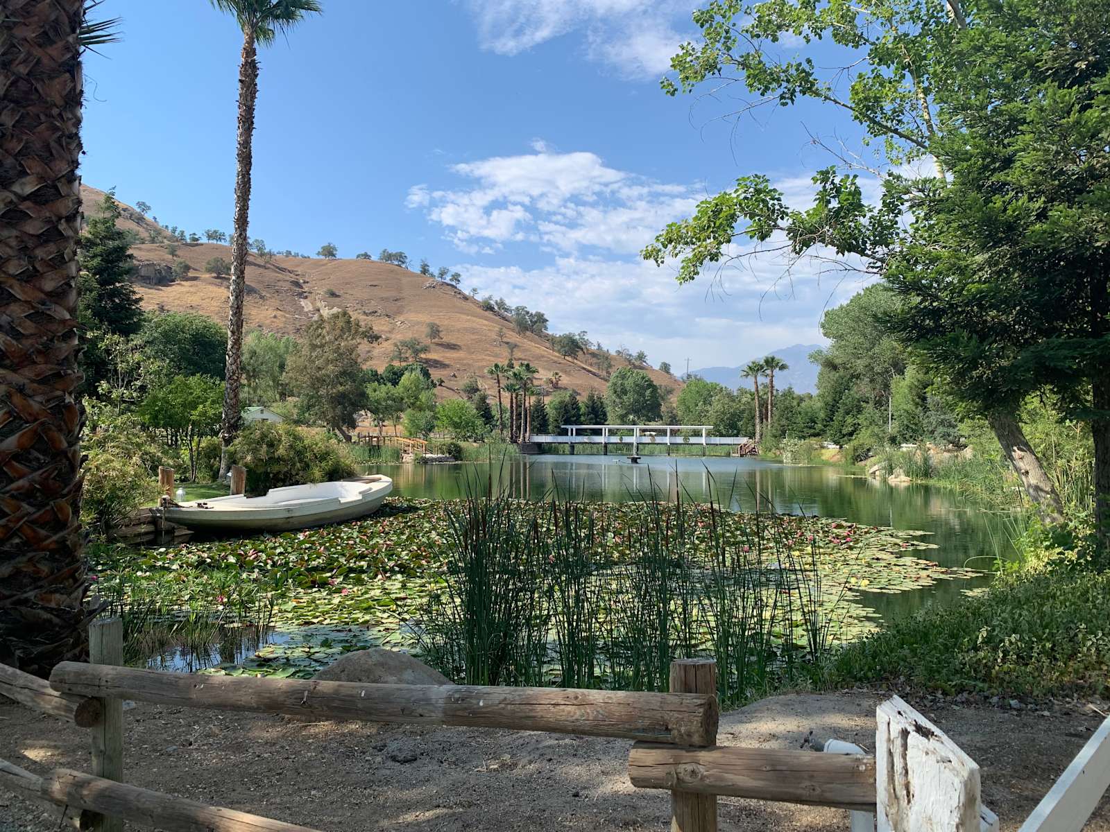 Peaceful Camp - Hipcamp in Springville, California