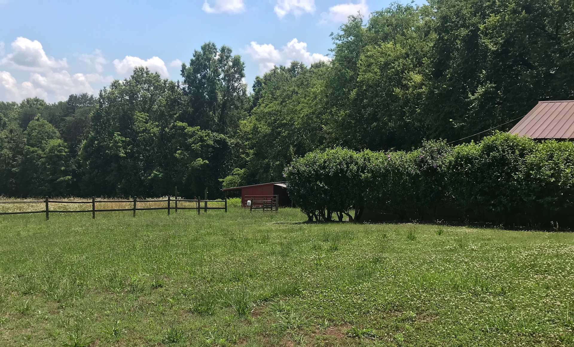 Peaceful Country Acres - Hipcamp in Ringgold, Virginia