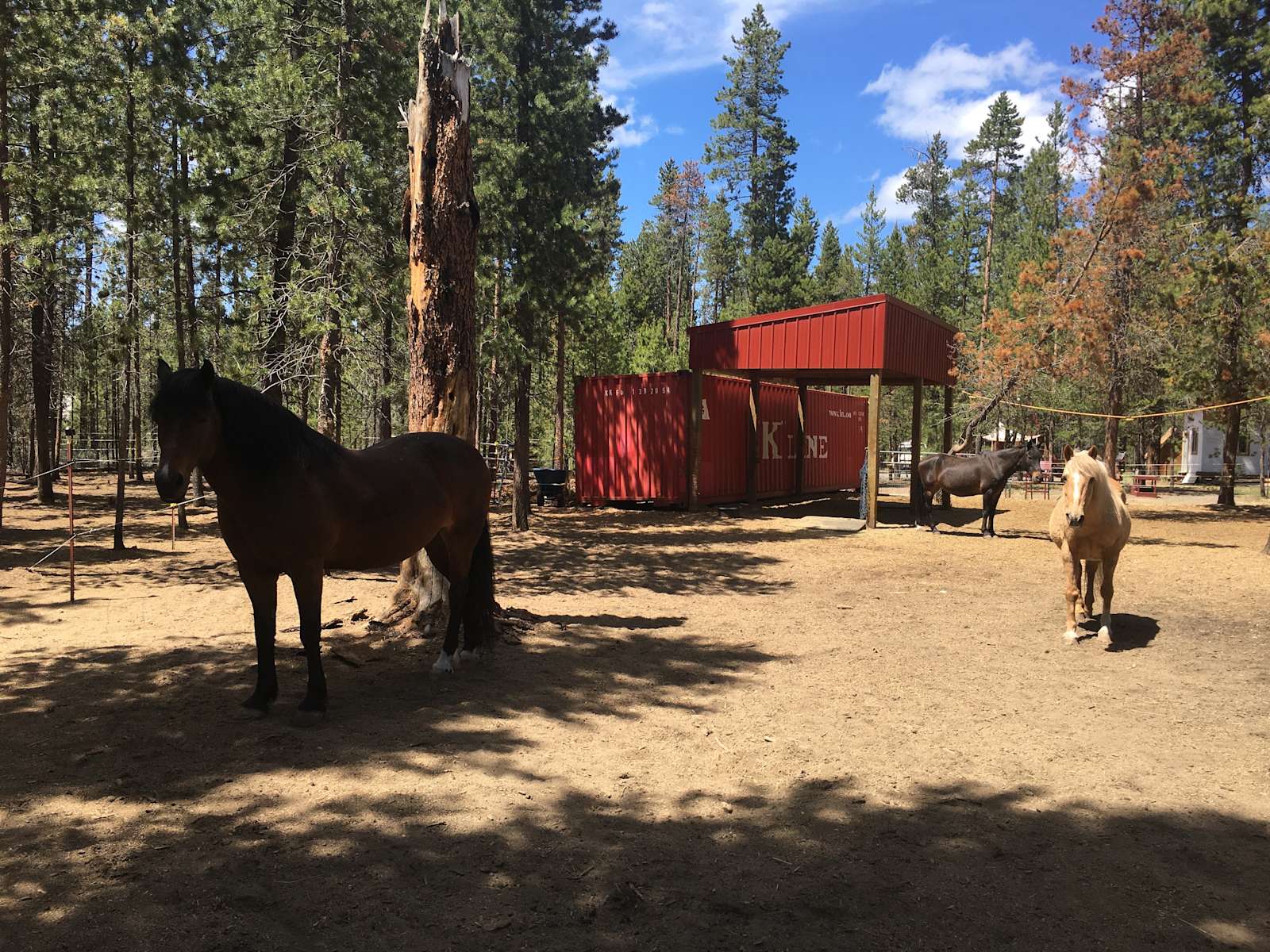 Red Horse Ranch - Hipcamp in La Pine, Oregon