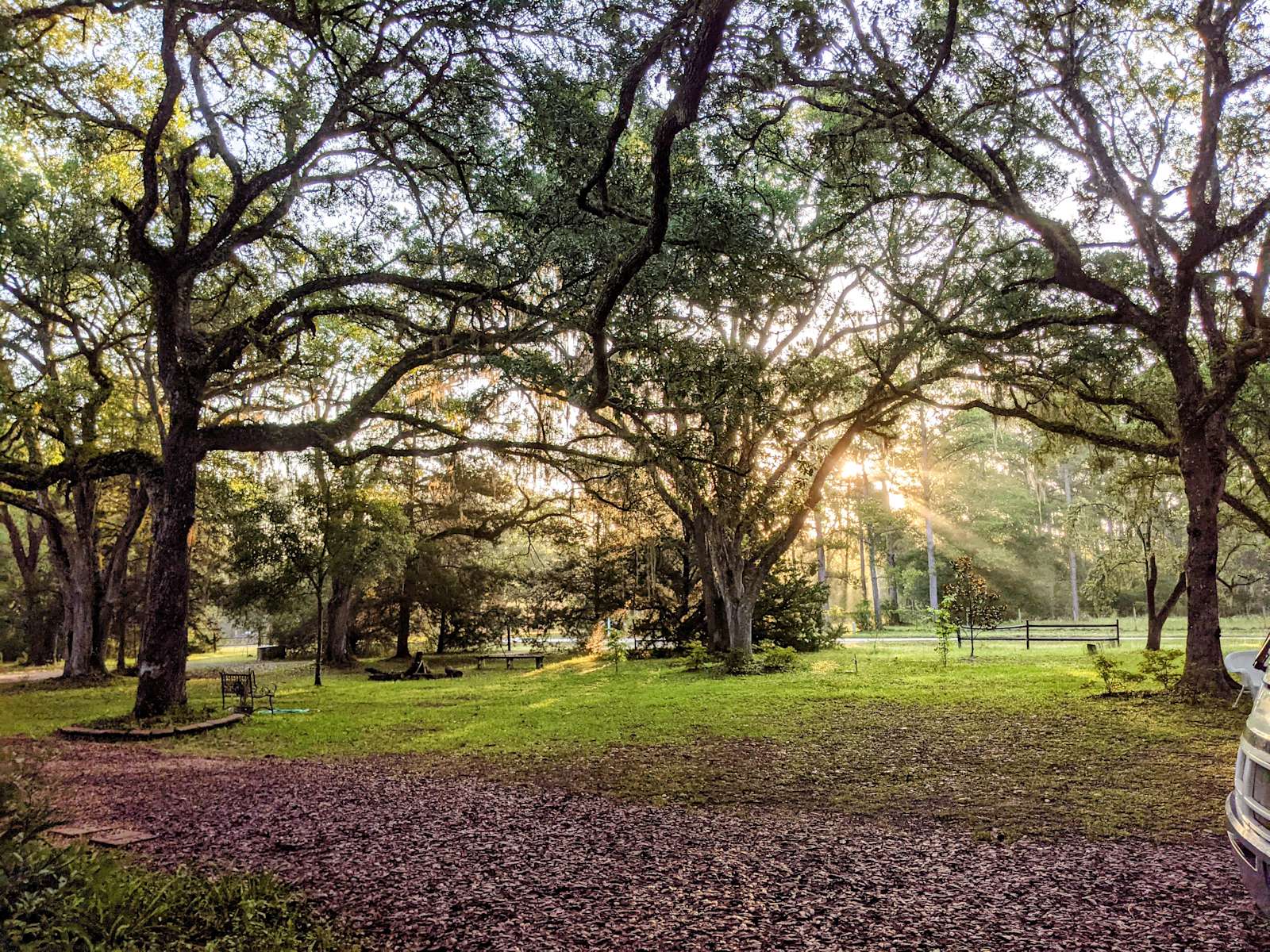 Peaceful, relaxing park setting. - Hipcamp in Williston, Florida