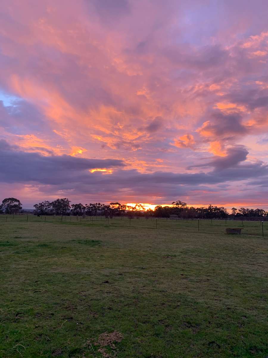 Uralba on Patterson - Hipcamp in Officer South, Victoria