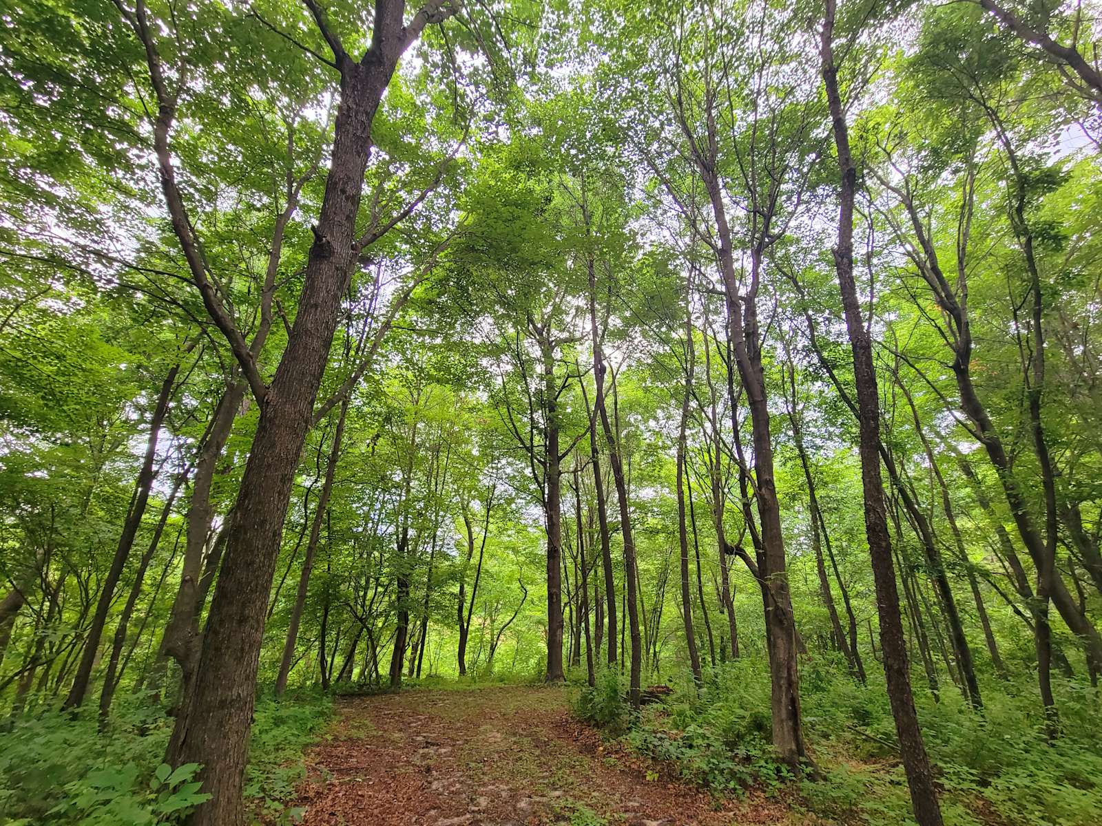 The Hill Family Camping - Hipcamp in Wonewoc, Wisconsin