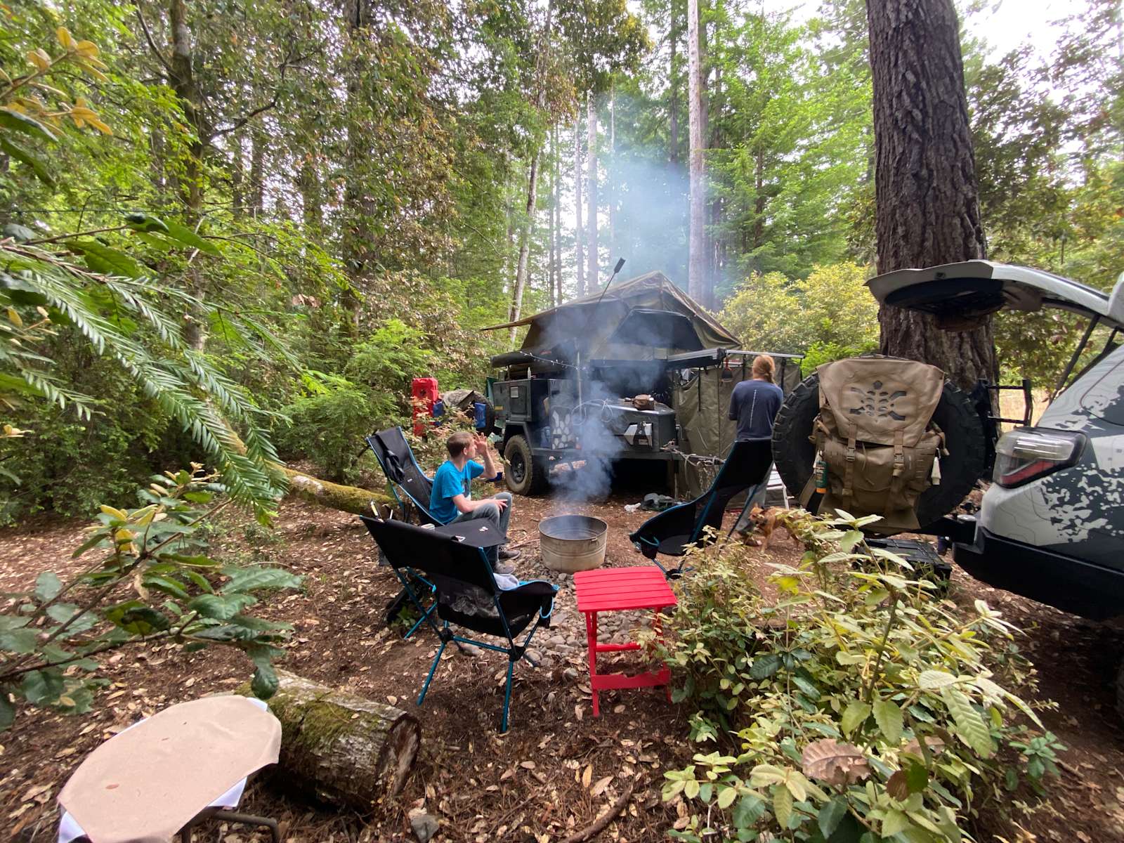 Redwood Forest Raven Haven - Hipcamp in Albion, California