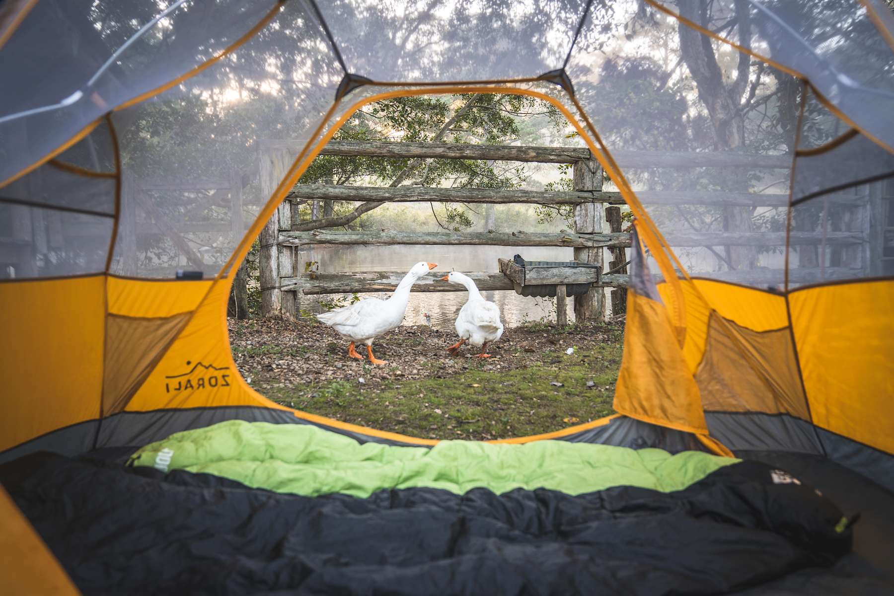 GG's Ranch & Retreat - Hipcamp in Ridgewood, Queensland