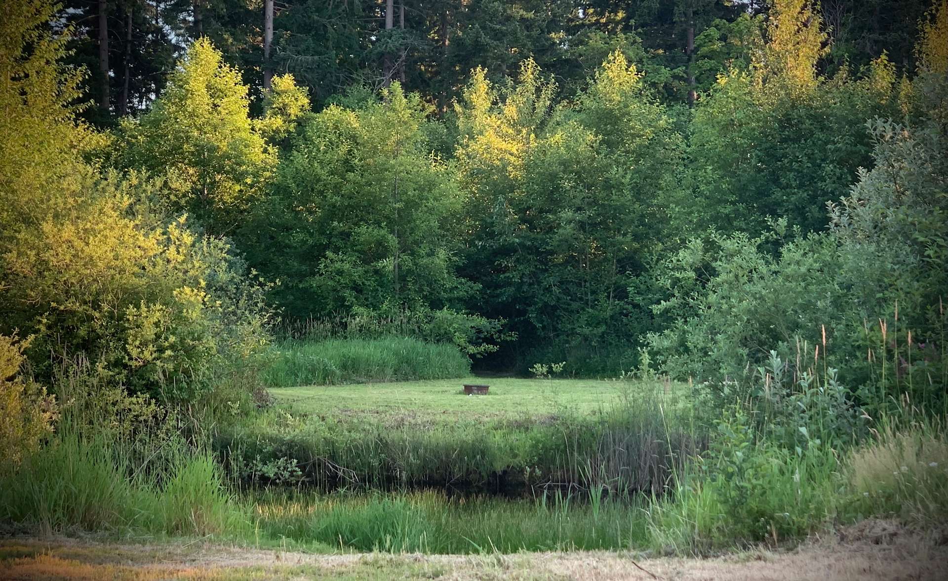 Field Sites & Secluded Tent Sites - Hipcamp in Campbell River, British ...