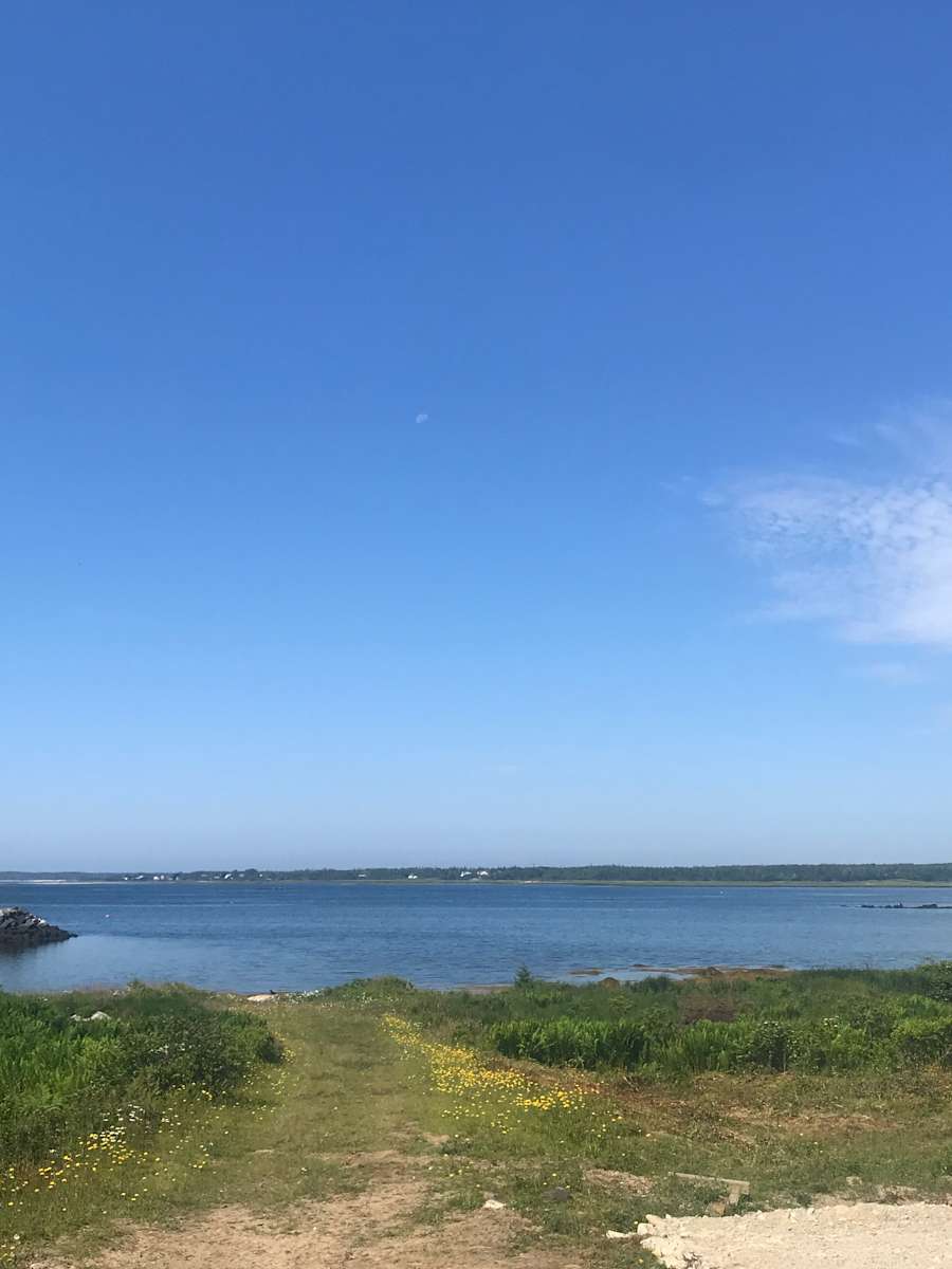 Ingomar Oceanfront Camping - Hipcamp in Shelburne, Nova Scotia