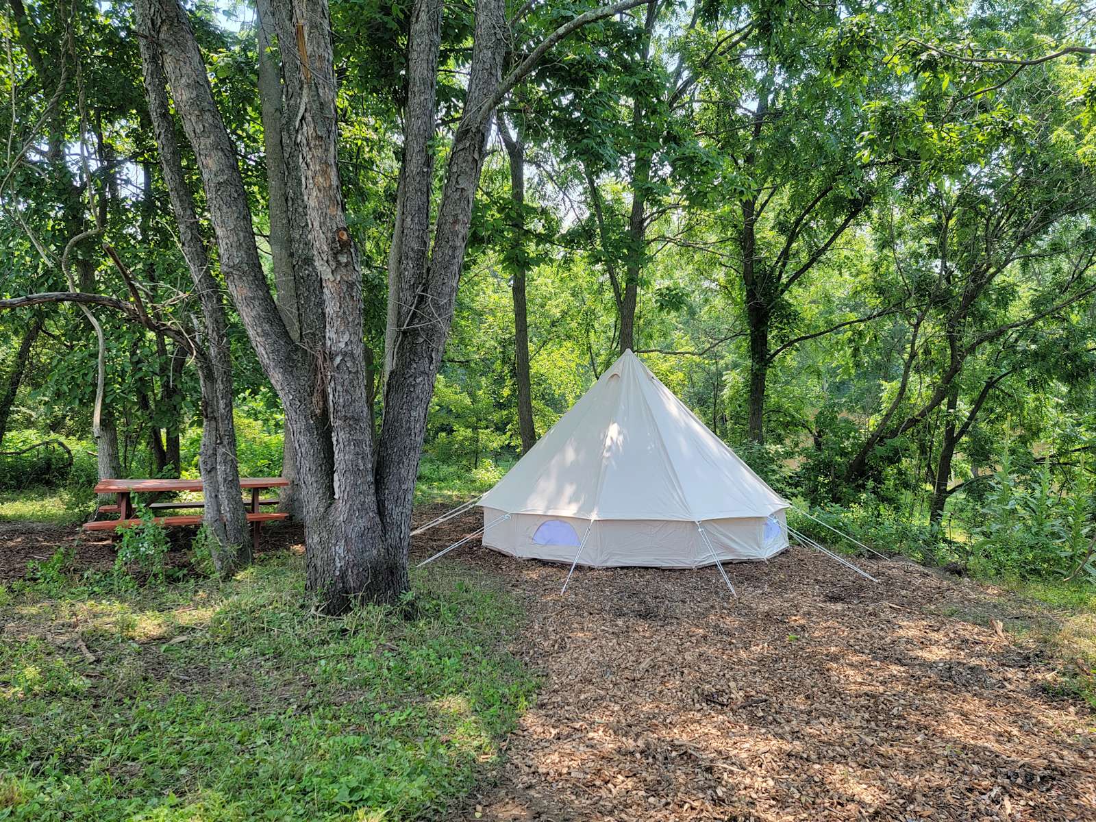 Wallkill River Camping - Hipcamp in Montgomery, New York