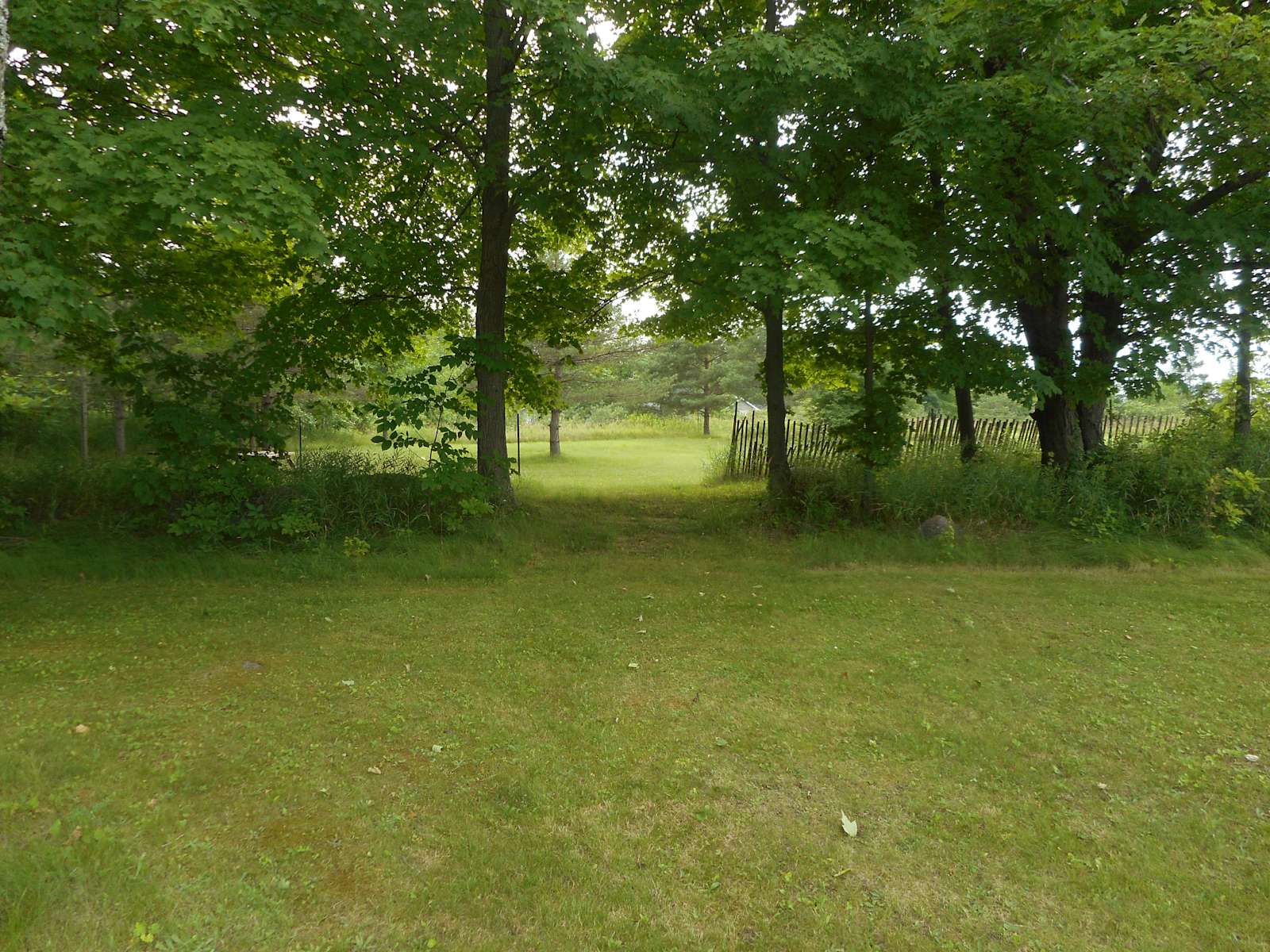 Tranquility Base - Hipcamp in Cavan Monaghan, Ontario