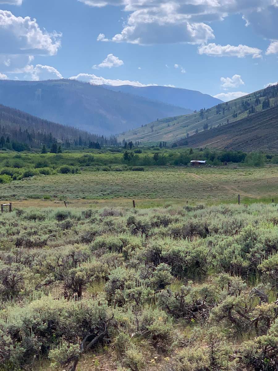 640 acres with rustic cabin on a creek bank. Cabin has no electricity ...
