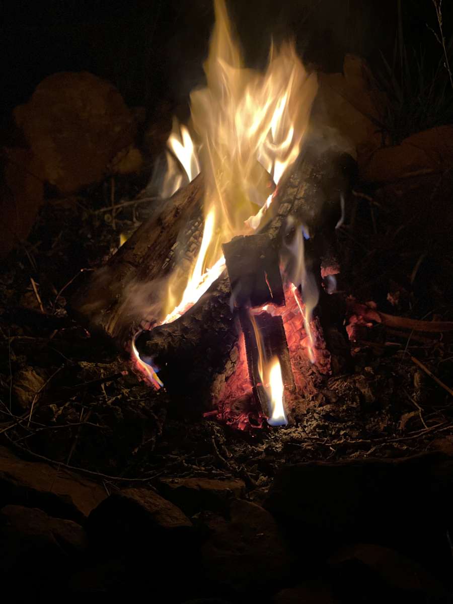 Fun micro farm campsite / RV site - Hipcamp in Grand Junction, Colorado