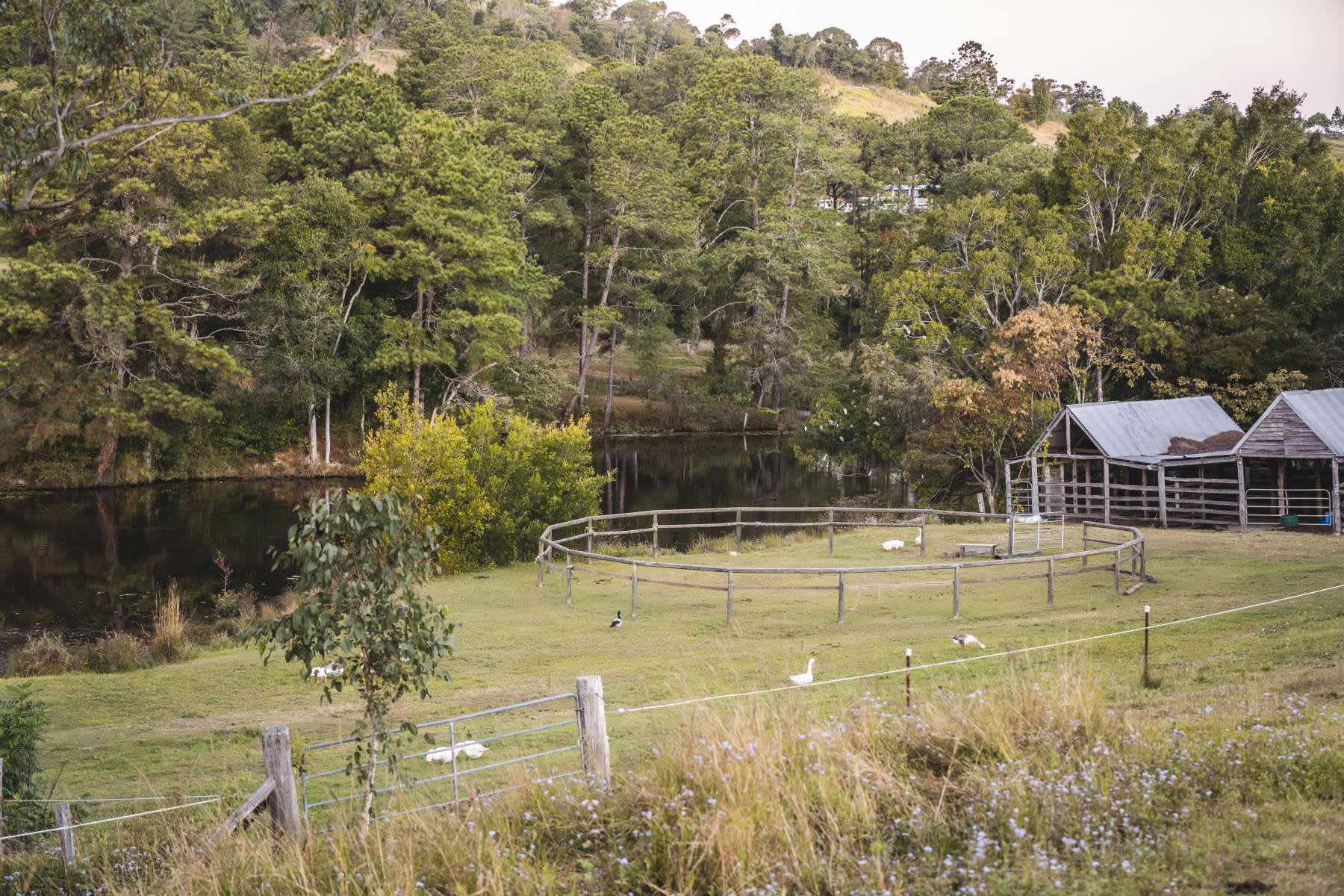 GG's Ranch & Retreat - Hipcamp in Ridgewood, Queensland