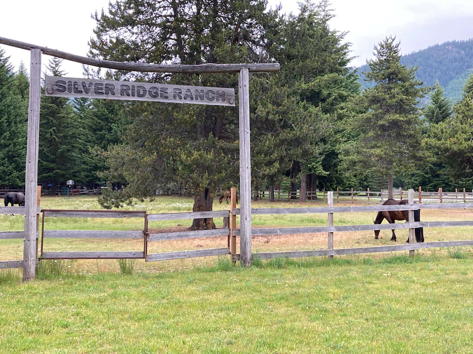 Silver Ridge Ranch & Campground - Hipcamp in Easton, Washington