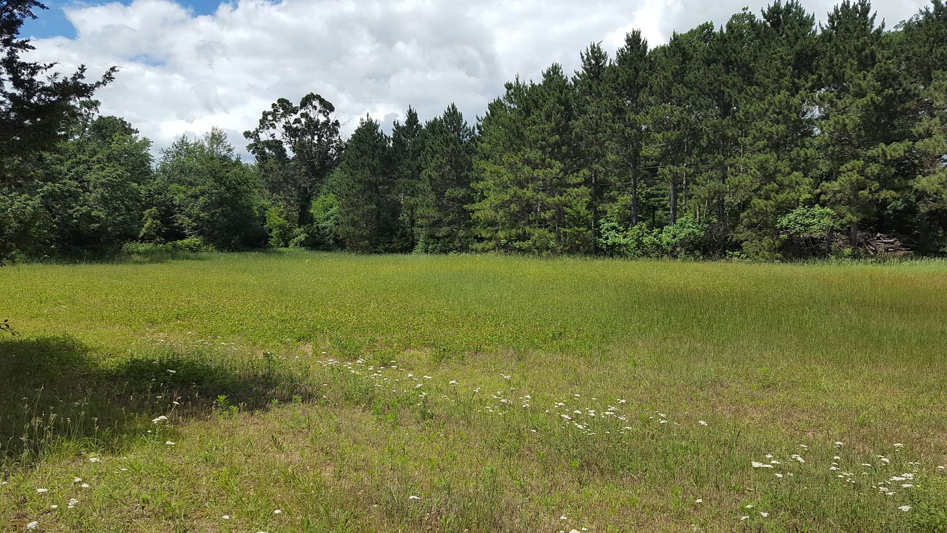 Hawk's Nest Farm - Hipcamp in Pine River, Wisconsin
