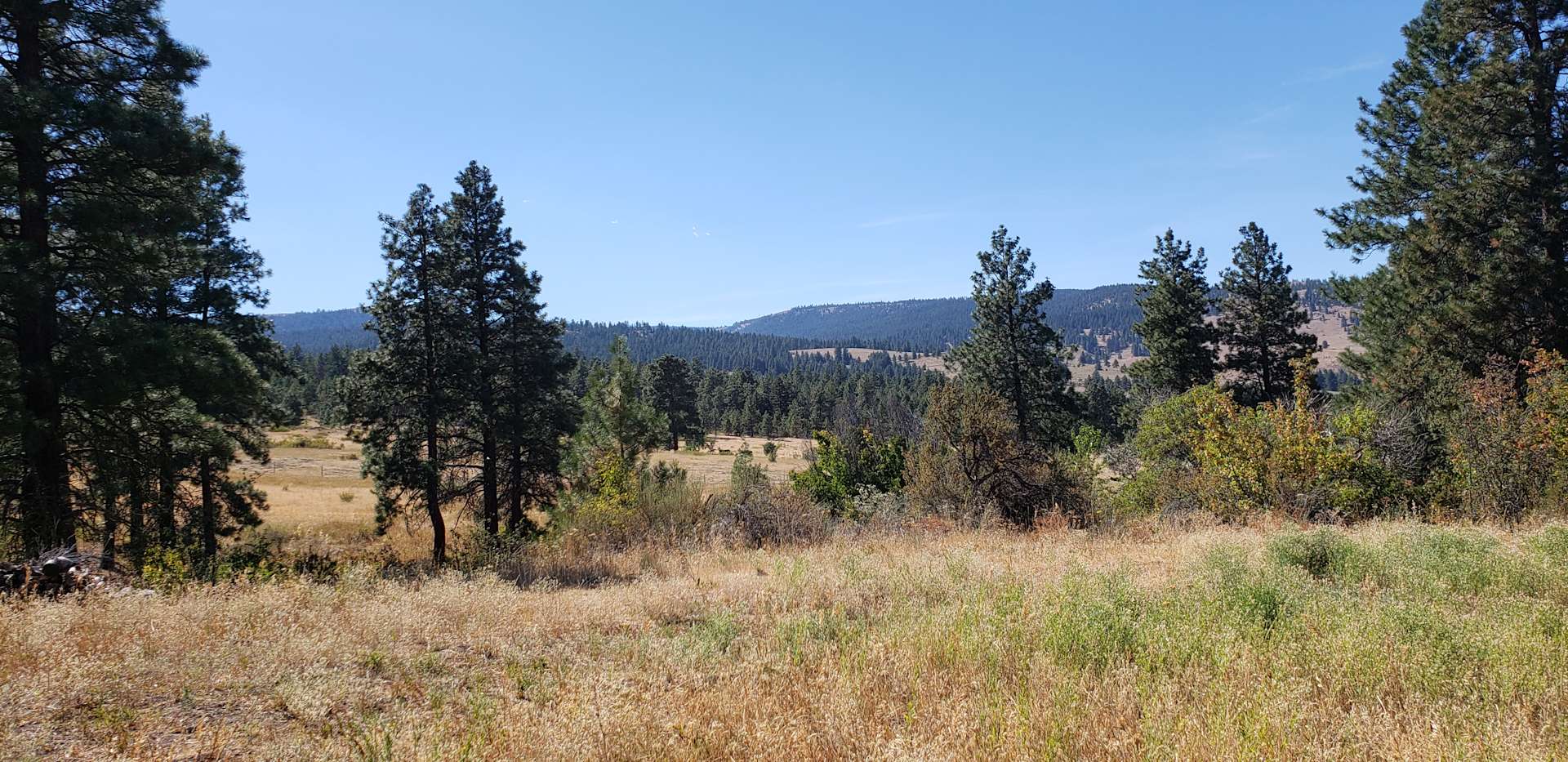 Colockum Wildlife Camp - Hipcamp in Rock Island, Washington