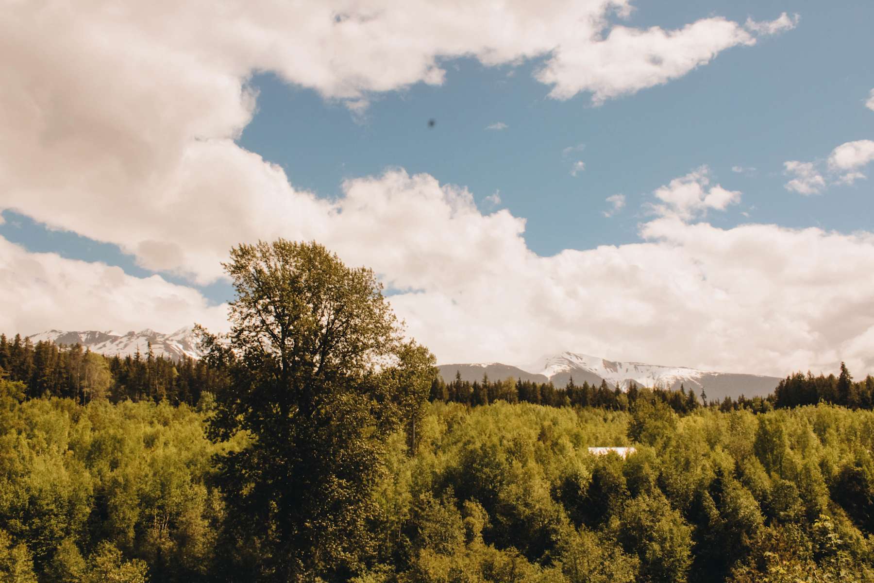 Anuttara Ashram - Hipcamp in Terrace, British Columbia