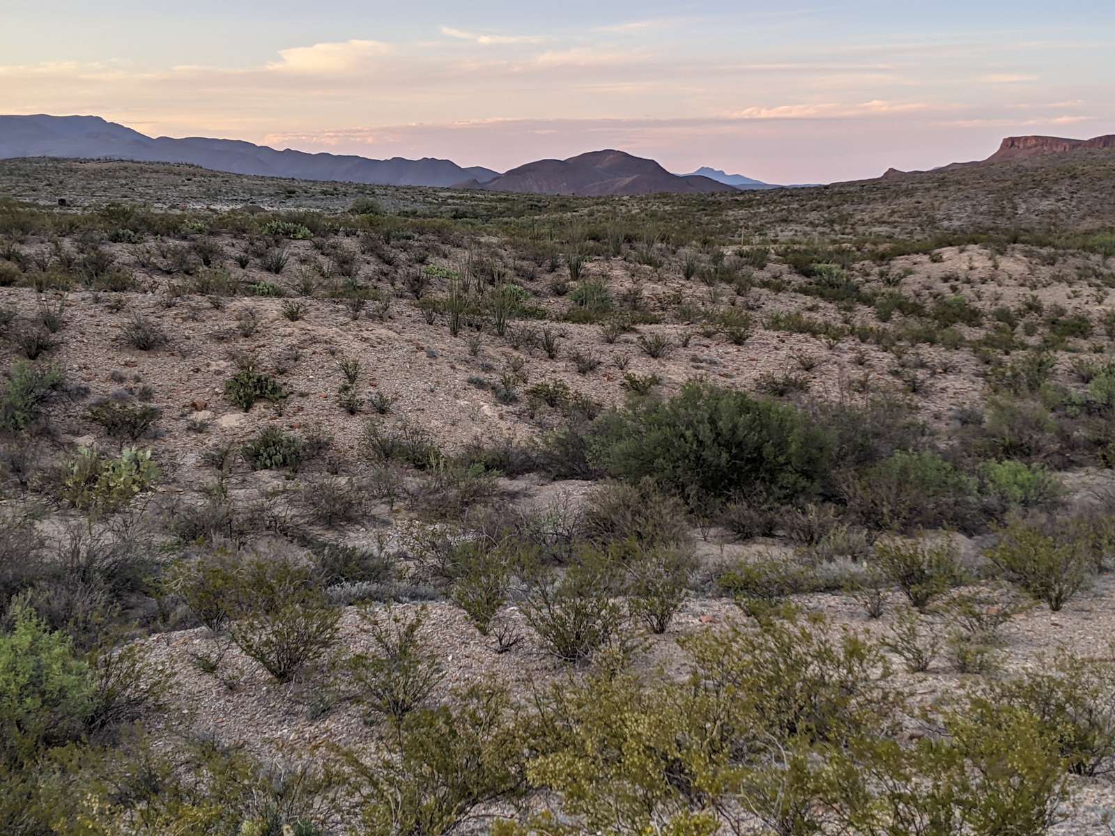 Terlingua lobo Blanco Ranch - Hipcamp in Study Butte, Texas