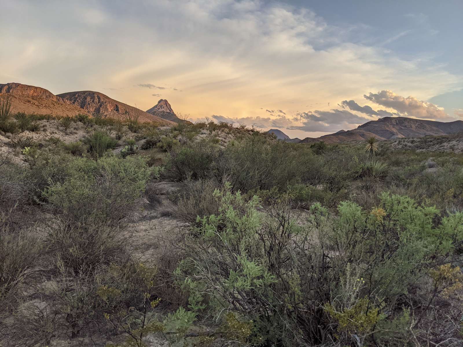 Terlingua lobo Blanco Ranch - Hipcamp in Study Butte, Texas
