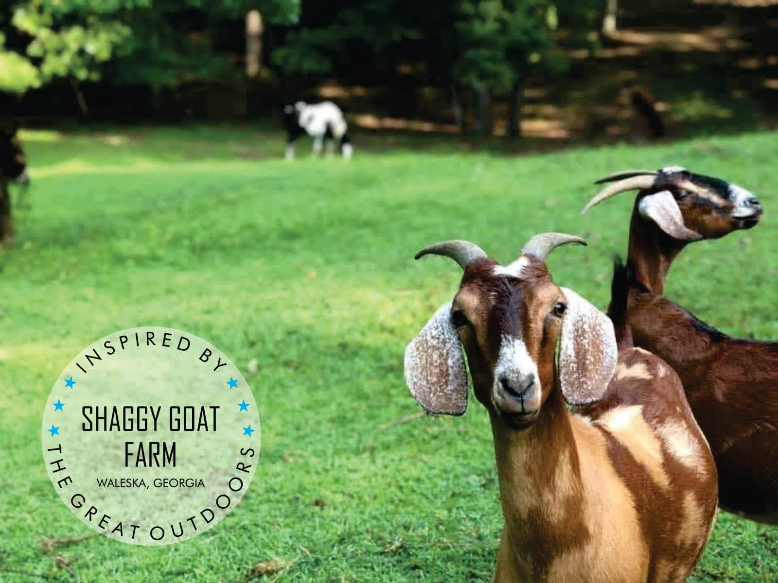 The Shaggy Goat Farm - Hipcamp in Waleska, Georgia