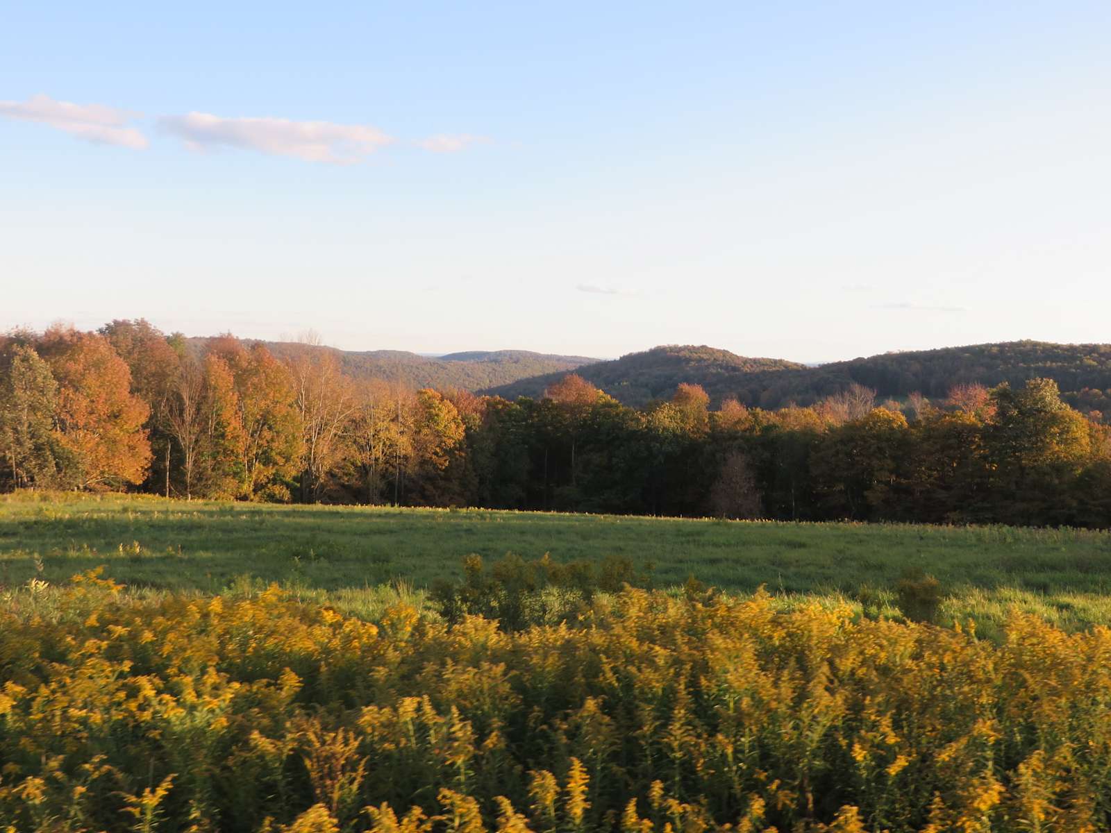 Camp Handsome Hollow - Hipcamp in Long Eddy, New York