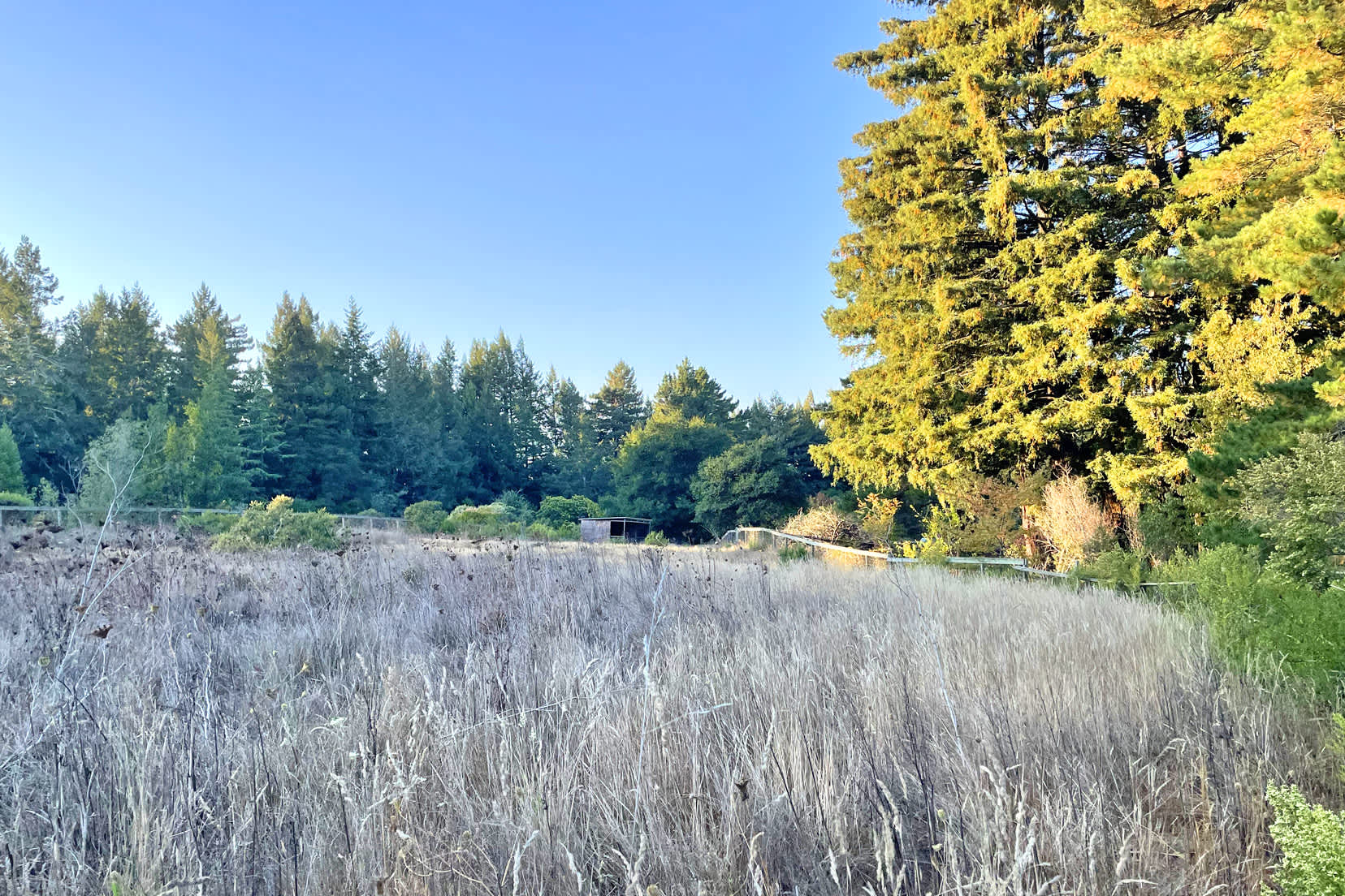 Rainbow's End Farm - Hipcamp in Sebastopol, California