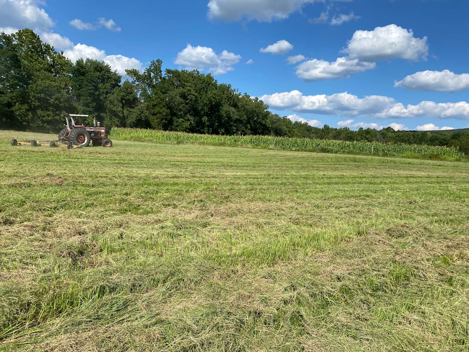 Pathfinder Farm Distillery Camp - Hipcamp in Keedysville, Maryland