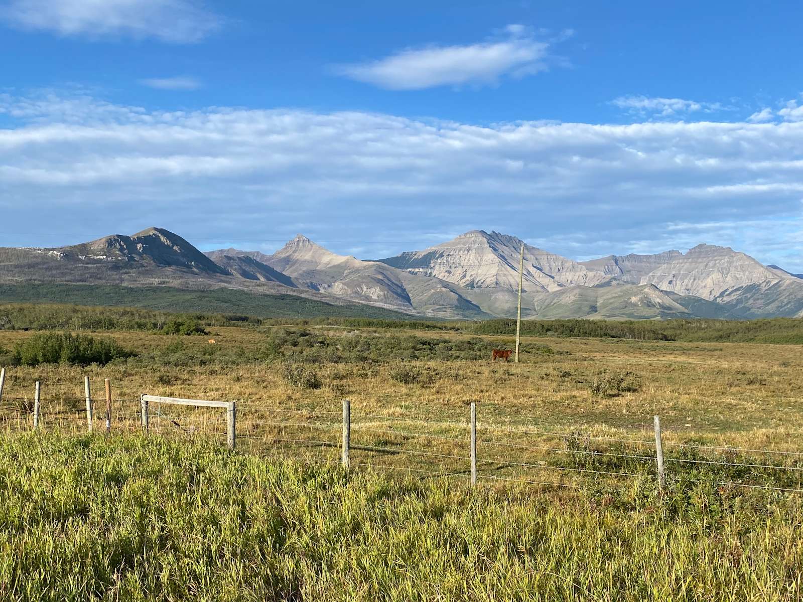 Camping with Mountain Views - Hipcamp in , Alberta