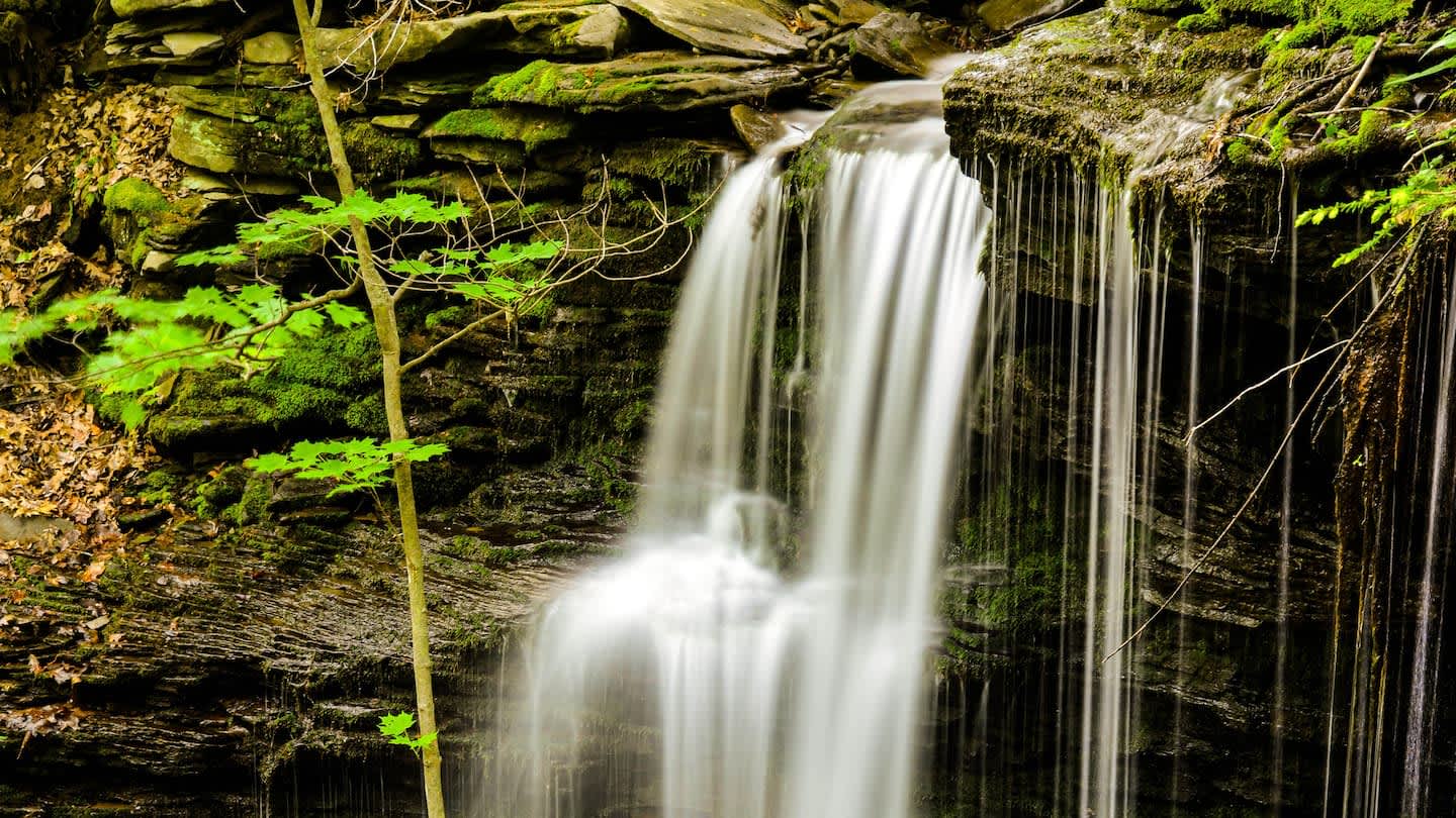 Glamping Tent Overlooking Waterfall - Hipcamp in Downsville, New York