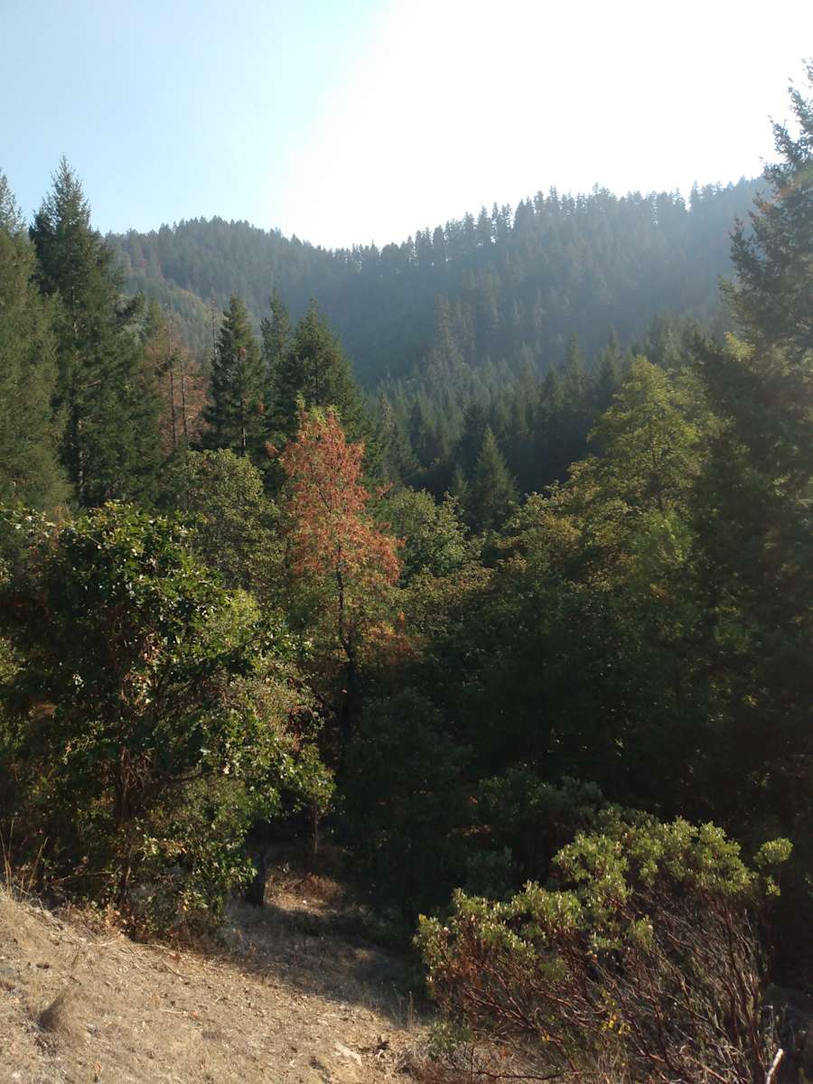 Golden Eagle Camper's Delight - Hipcamp in Ruch, Oregon