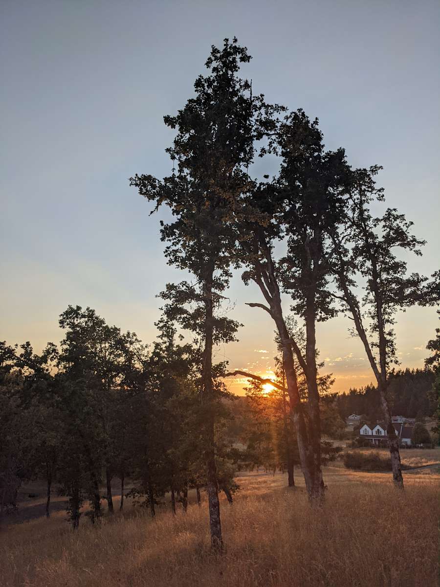 Cozy Oak Savannah with Playful Goats - Hipcamp in Eugene, Oregon