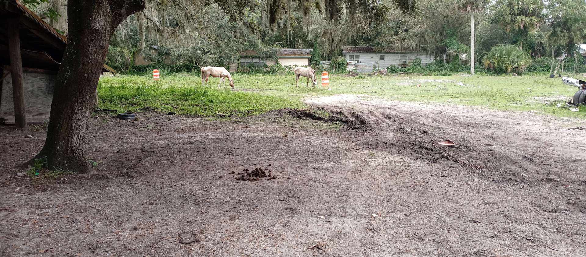 Palmdale Horse Club - Hipcamp in Palmdale, Florida