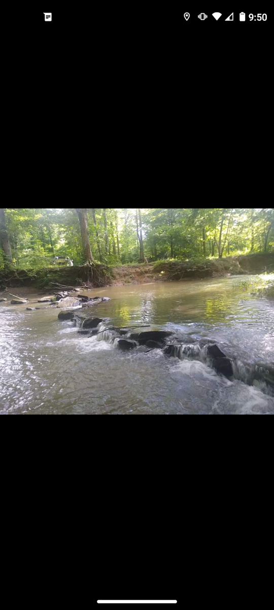 Bug Tussle Creek Bend - Hipcamp in Colony, Alabama
