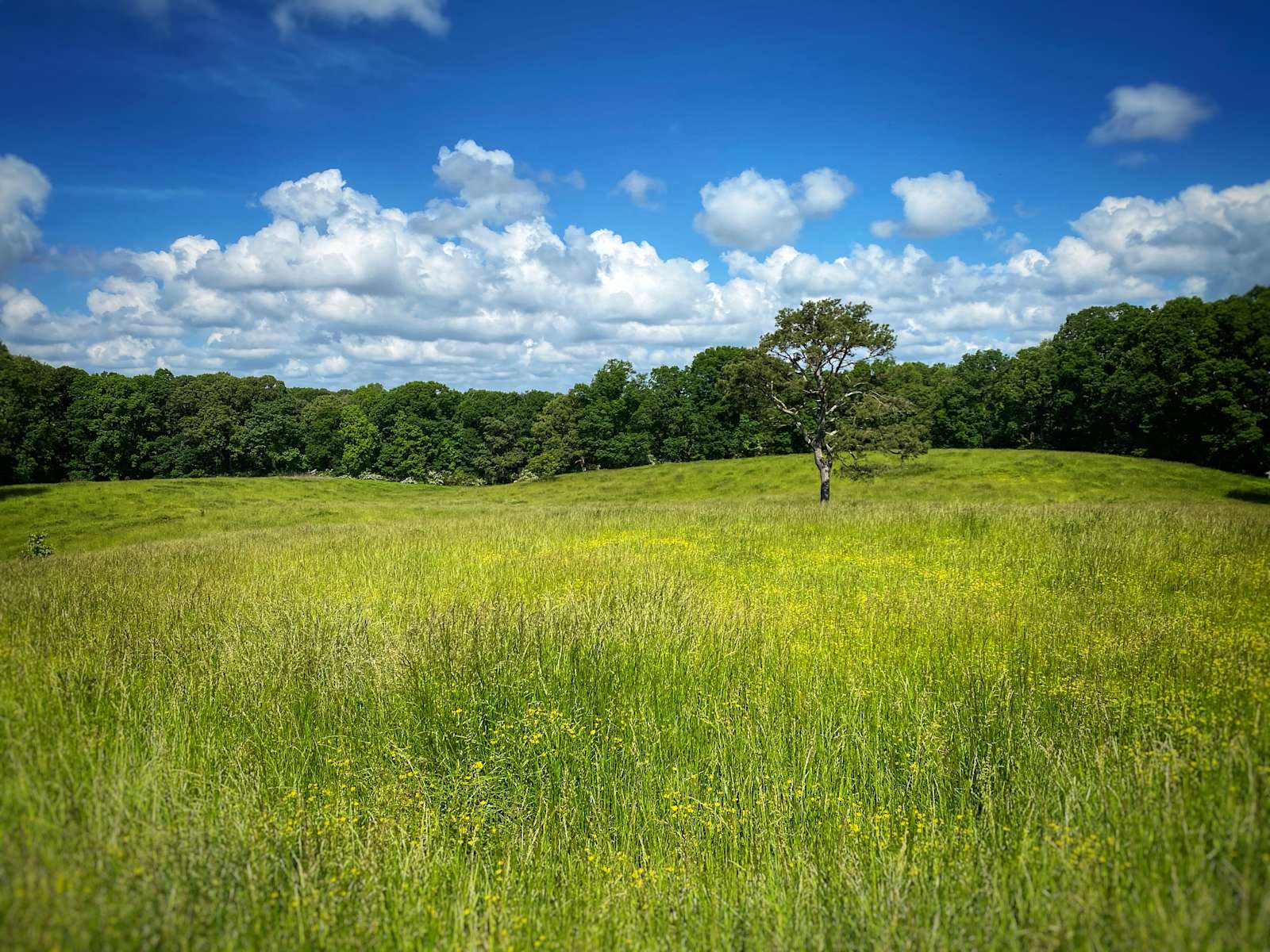 Bedgood Heritage Farm - Hipcamp in Cleveland, Georgia