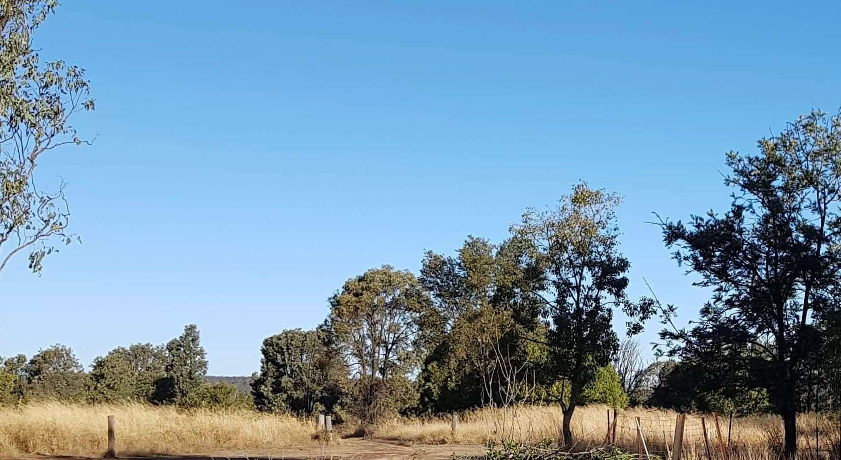 THISISIT - Hipcamp in Durong, Queensland