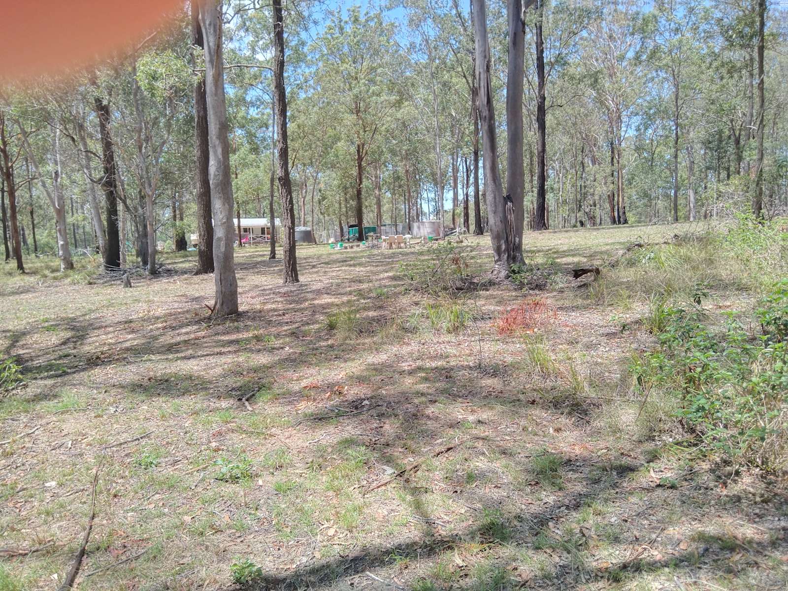 Camp Ricky - Hipcamp in Blackbutt, Queensland