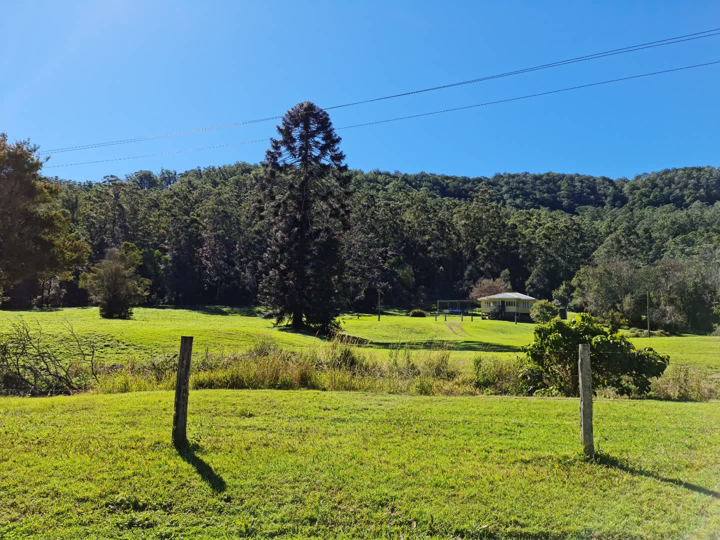 Max's Farm - Hipcamp in Conondale, Queensland