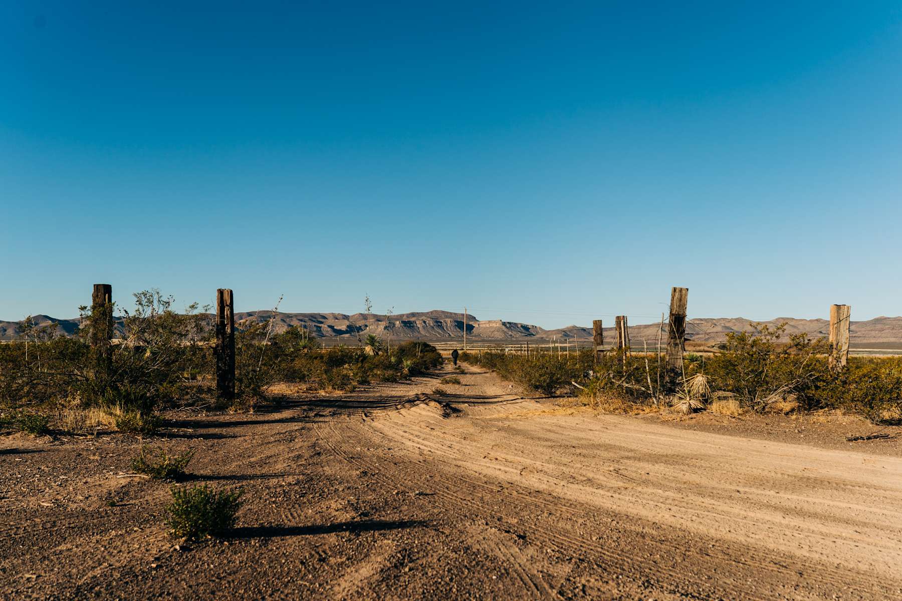South Lobo, Texas - Hipcamp in Van Horn, Texas