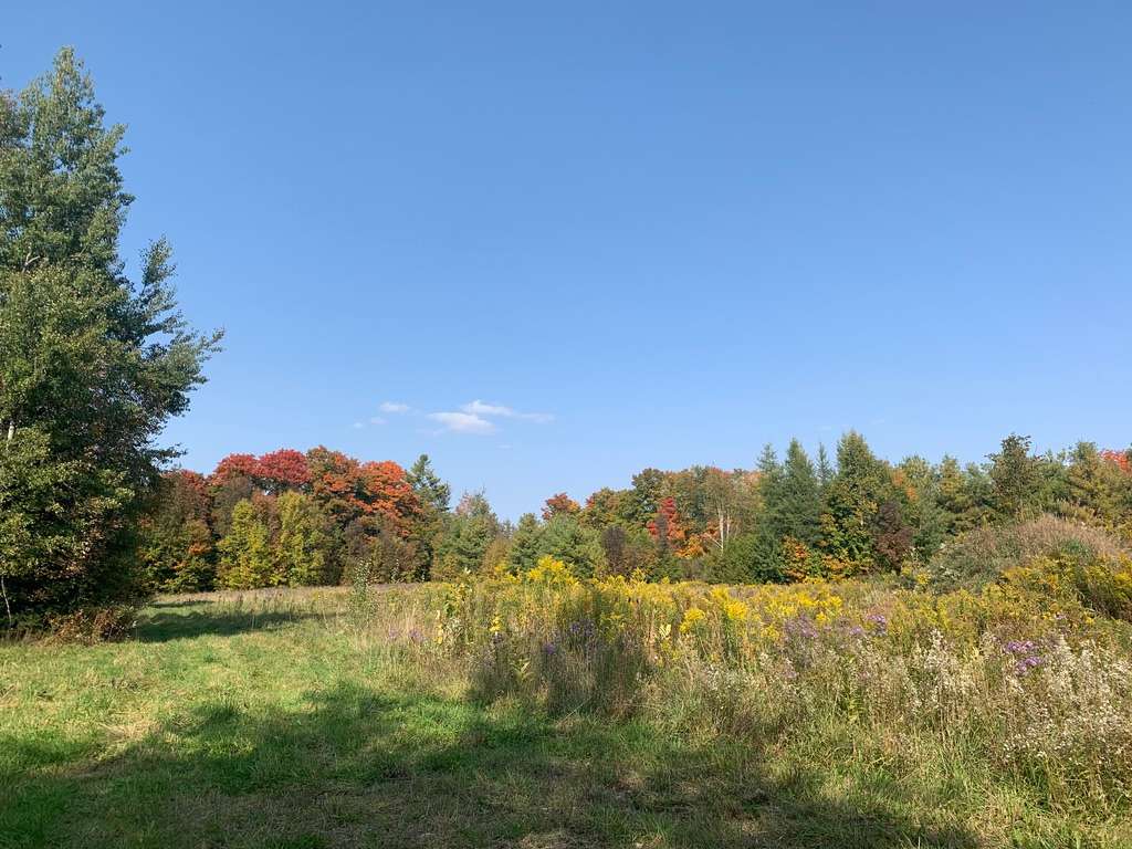 Natures Acres - Hipcamp in Mount Forest, Ontario