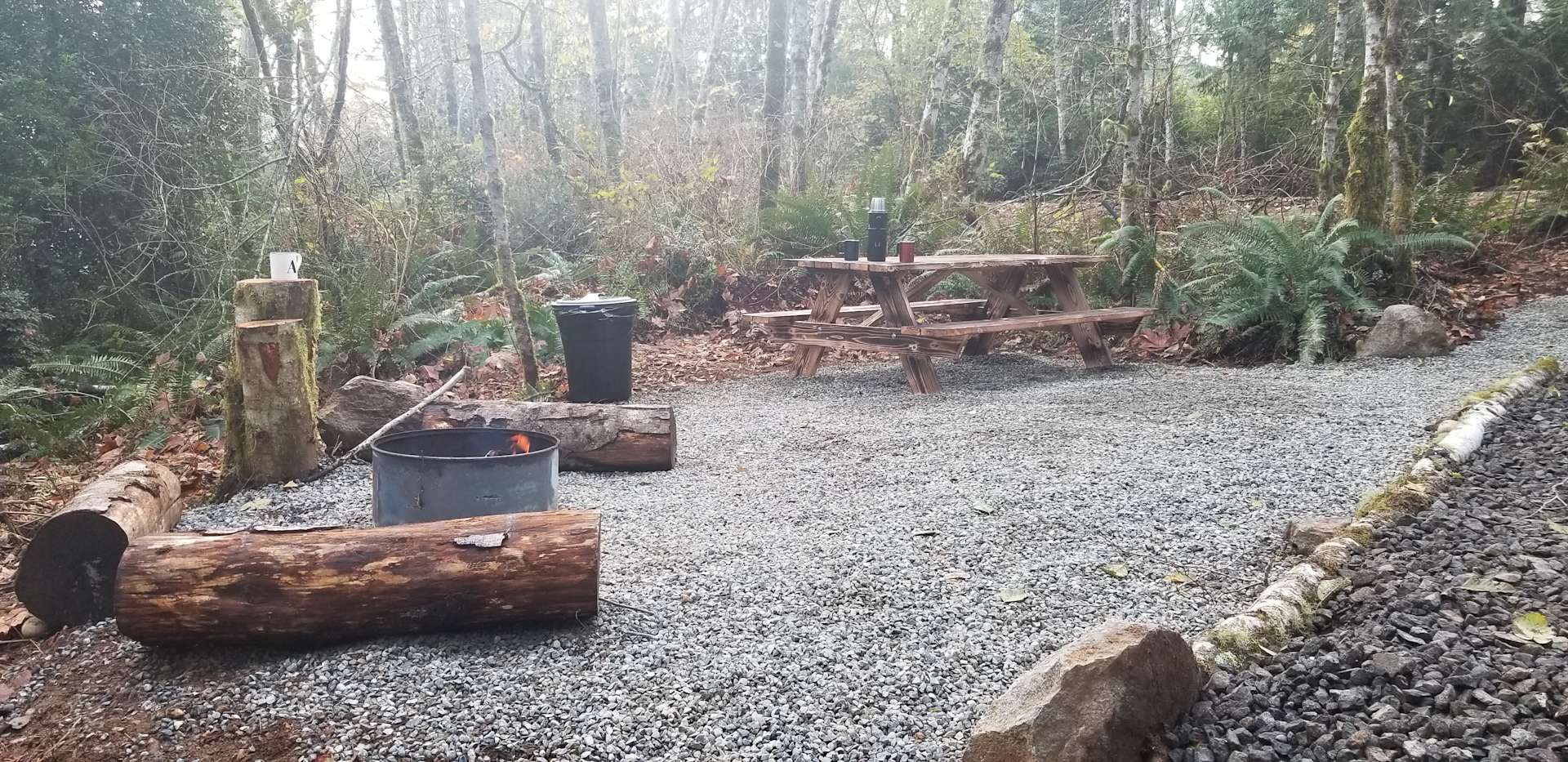 Cedar stump RV campsite - Hipcamp in , Washington
