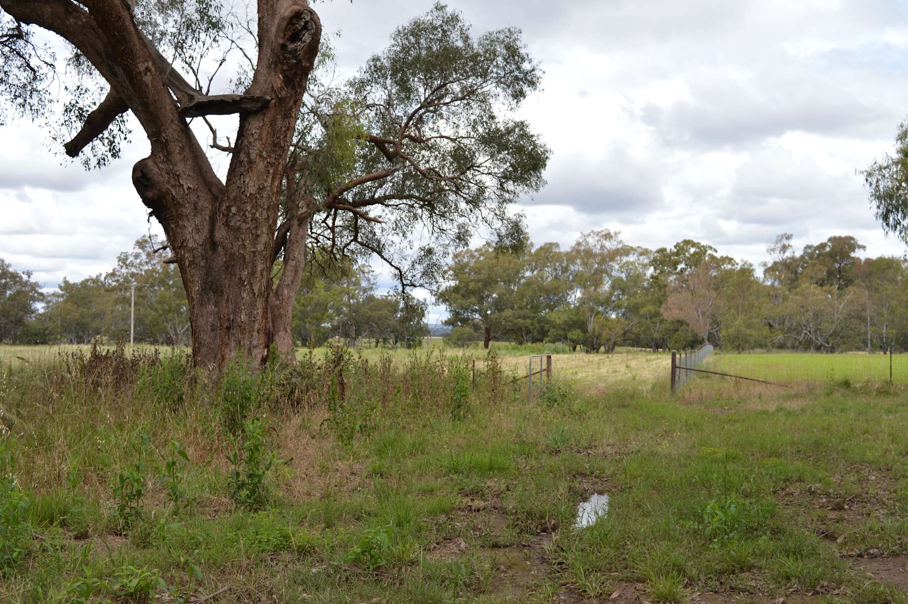 Wendouree Creek Camp - Hipcamp in , New South Wales